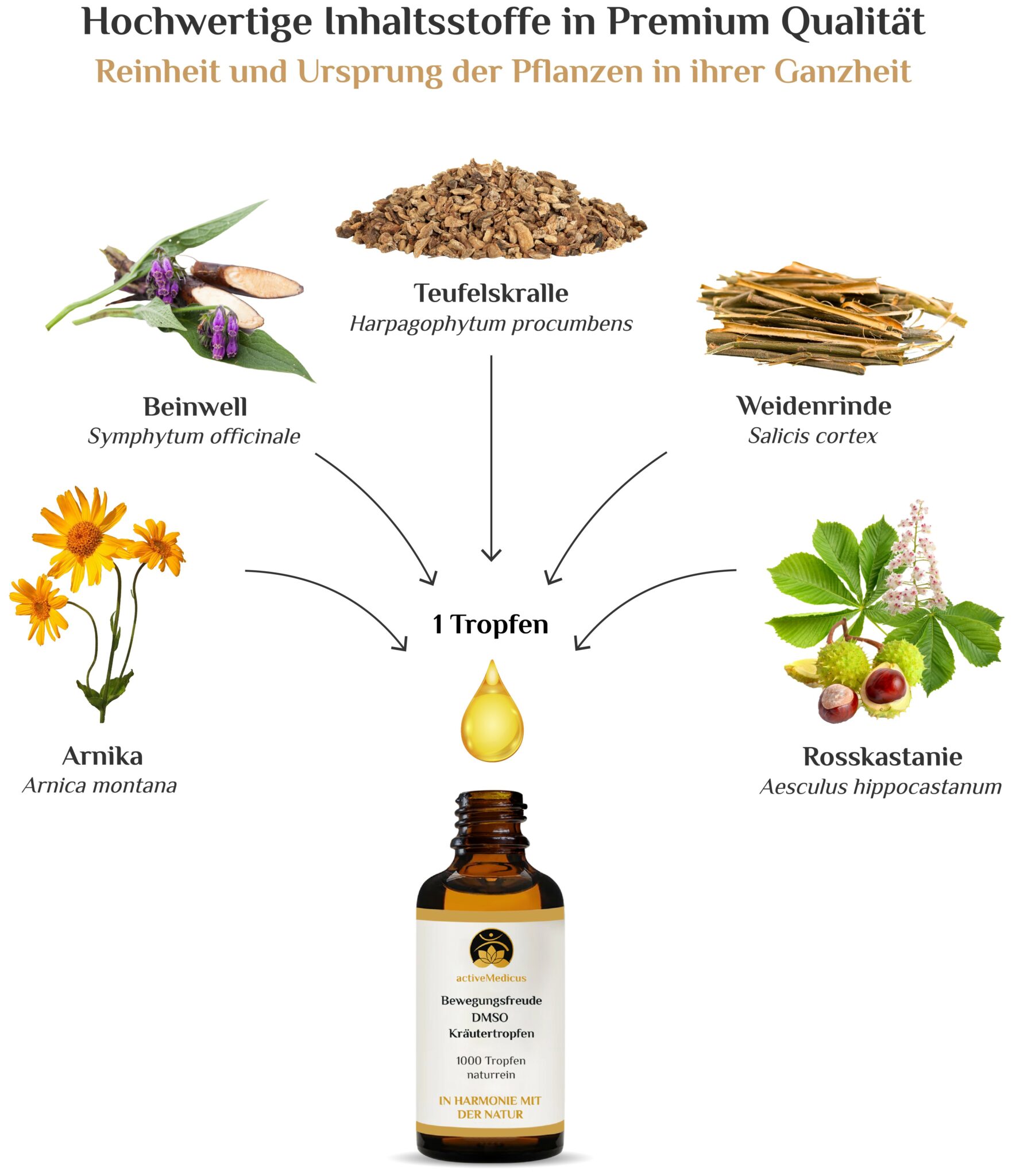BewegungsFreude DMSO Kräutertropfen - Tinkturen - activeMedicus
